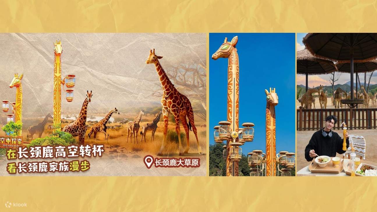 2-Day Qingyuan Tour from Shenzhen/Guangzhou: Qingyuan Chimelong Resort ...